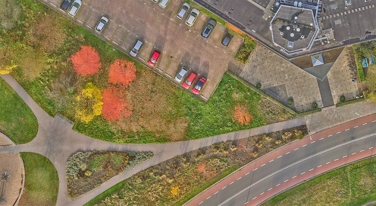 Liendert LIVE - Orthomosaic - Geomaat - Precies!